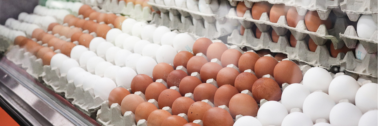 The Local Egg - Hamilton Farmers' Market