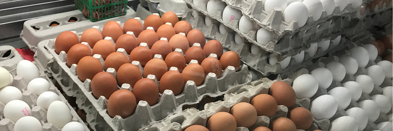 Local Eggs - Hamilton Farmers' Market